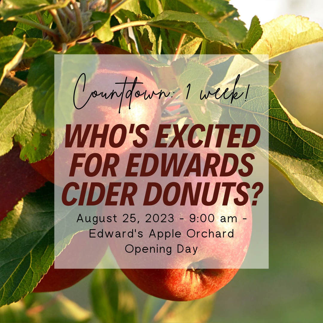 » Countdown to Opening Day at Edwards Apple Orchard